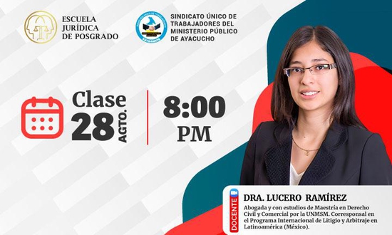 Curso Especializado en Derecho Civil: VICIOS DE LA VOLUNTAD Y EL ACTO ...