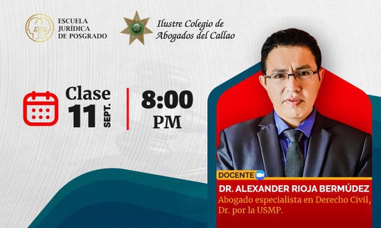 Curso Especializado en Derecho Civil: EL ACTO JURÍDICO ANULABLE Y ...