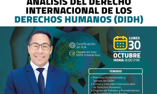 Curso Especializado: ANÁLISIS DEL DERECHO INTERNACIONAL DE LOS DERECHOS ...